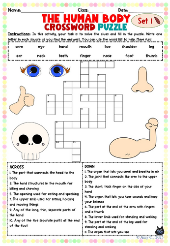 The Human Body Color / B&W Differentiated Crossword Printables with ...