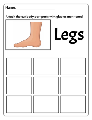 Body Parts Matching Activity for Special Education | Teaching Resources