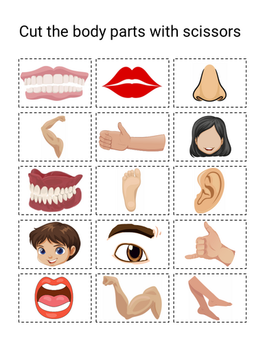 Body Parts Matching Activity for Special Education | Teaching Resources