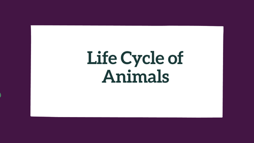 Grade 2 Science Curriculum Life Science -LIFE CYCLE OF ANIMALS | No ...