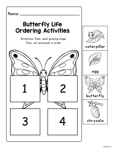Butterfly Life Cycle Worksheet for Kids | Teaching Resources