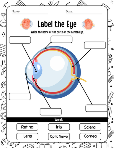 Label the Parts of the Human Eye Diagram: End of year Activities ...