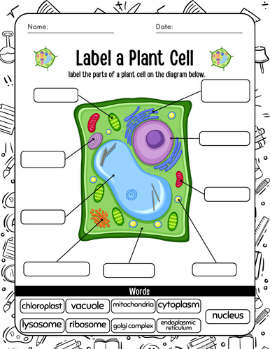 Label the Plant Cell: Botany Activity Back to School Activities ...