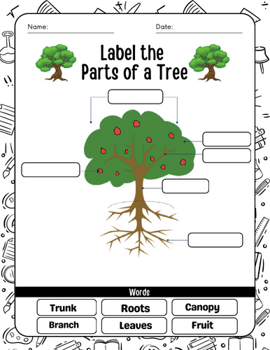 Label the Parts of a Tree Diagram: Tree Anatomy Activities & Worksheets ...
