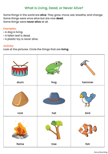 Year 2 Science Workbook: Living Things and Their Habitats | Printable ...