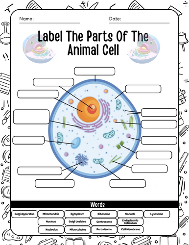 Label The Parts Of The Animal Cell Diagram: Anatomy Activities ...