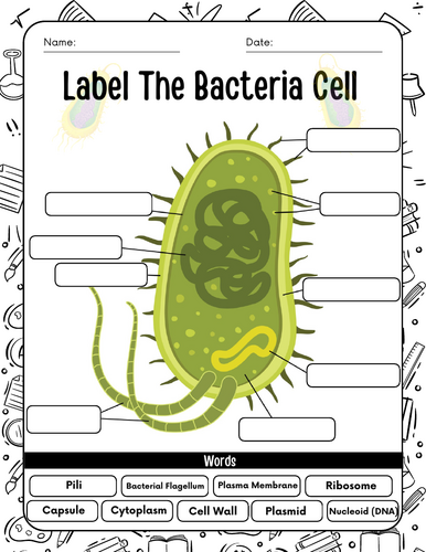 Label The Bacterial Cell Structure: Labeled Diagram September ...