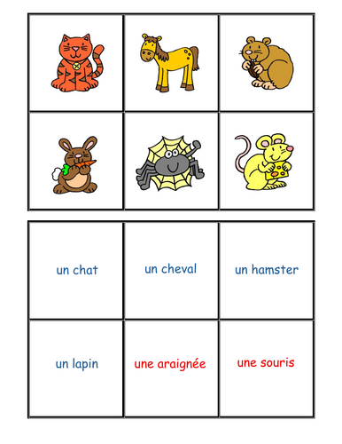 FRENCH TOPICS: PETS- LES ANIMAUX A LA MAISON-LOTTO | Teaching Resources