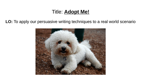 KS3 Persuasive Writing: Adopt a Dog from the shelter | Teaching Resources