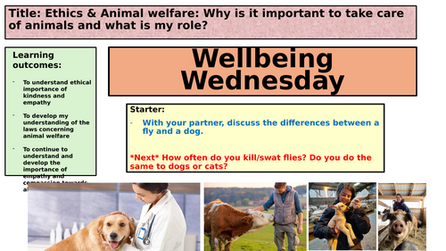 Animal Welfare: Kindness & Empathy Lesson (PSHE / Wellbeing) | Teaching ...