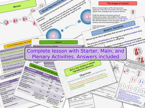 13.2 Meiosis GCSE Biology (Grade 1-9) AQA GCSE biology | Teaching Resources