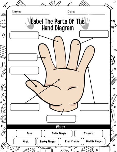 Label The Parts Of The Hand Diagram: Labeling Worksheets: September ...