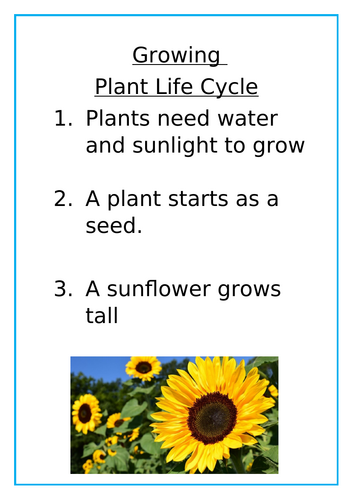 Growing Plants EYFS lesson | Teaching Resources