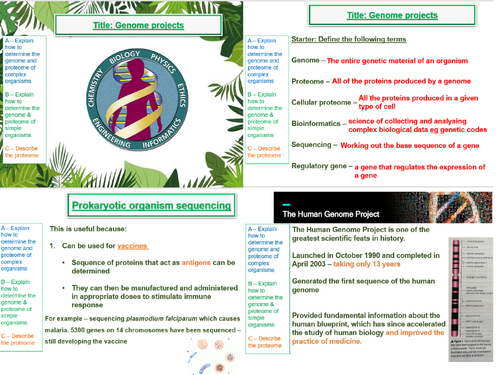 Gene expression- AQA A Level Biology (A2- Topic 20) -Topic bundle ...