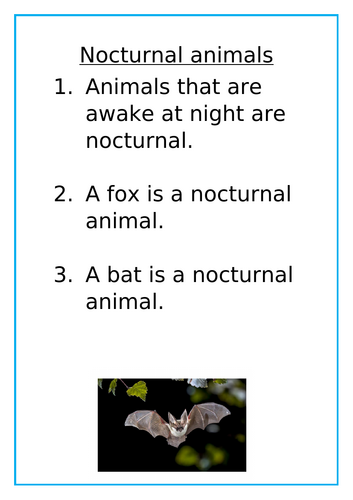Nocturnal Animals EYFS lesson | Teaching Resources