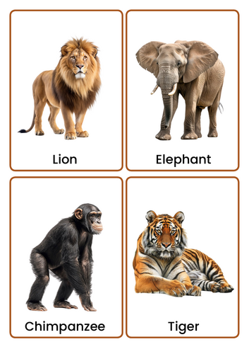 Wild Animals Flashcards – 40 Realistic Picture Cards | Teaching Resources