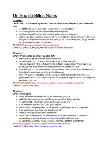 Un Sac de Billes - French A Level - Notes and Summary | Teaching Resources