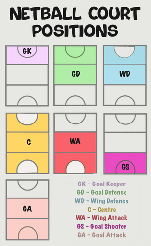Netball Positions Poster | Teaching Resources