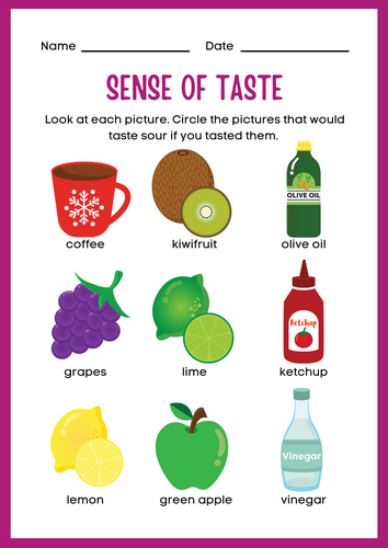 Science Activity - Sense of Taste Worksheet for Kids | Teaching Resources
