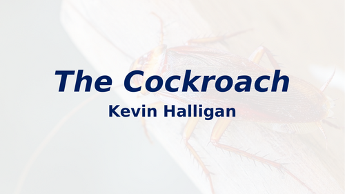 'The Cockroach' Kevin Halligan - CAIE IGCSE English Literature - Songs ...