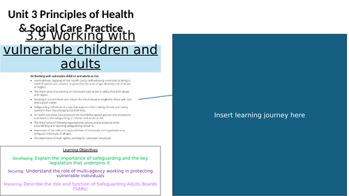 AAQ Unit 3 Health and Social Care Principles of Safe Practice ...