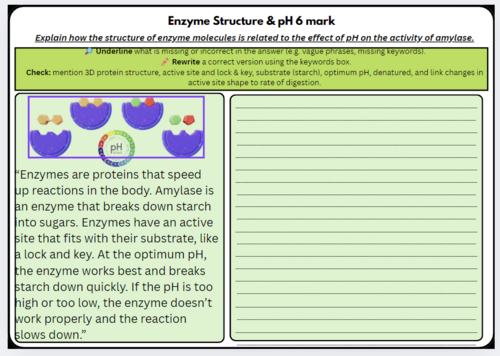 Enzyme Structure & pH – 6 Mark Exam Question | Scaffolded ...