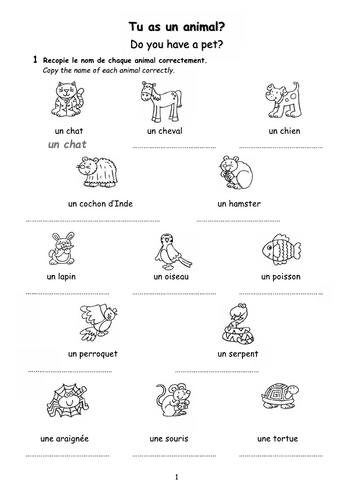 FRENCH TOPICS: PETS-LES ANIMAUX A LA MAISON-ACTIVITY BOOKLET | Teaching ...