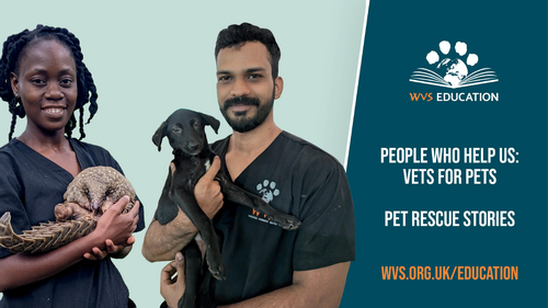 EYFS People Who Help Us: Amazing Vets, Healthy Pets | Teaching Resources