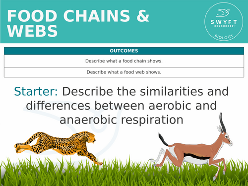 KS3 ~ Year 8 ~ Food Chains & Food Webs | Teaching Resources