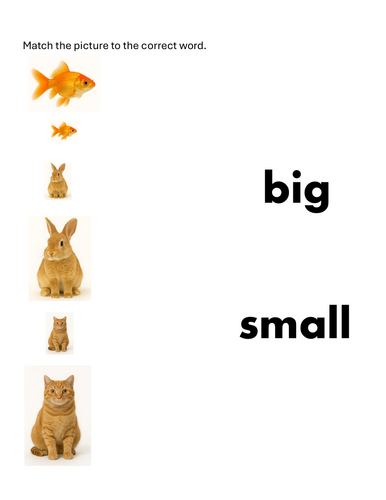 Let's learn: Big and Small | Teaching Resources
