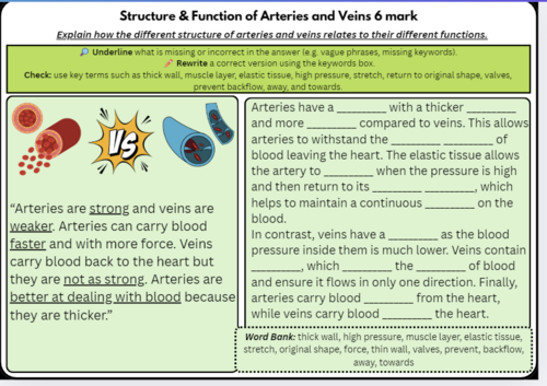 Arteries & Veins – GCSE Biology 6 Mark | Scaffolded/Differentiated ...