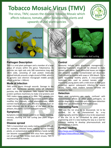 KS4 Triple Biology Unit 3 – Complete PowerPoint lesson on Viruses and ...