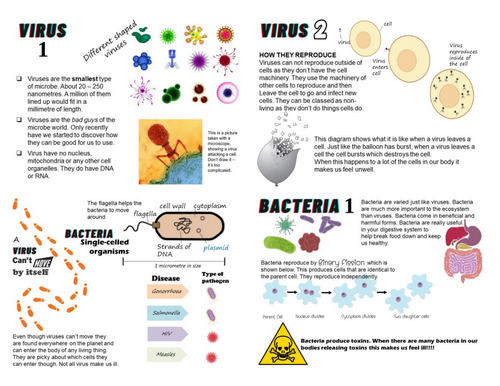 KS4 Triple Biology Unit 3 – Complete PowerPoint lesson on Viruses and ...