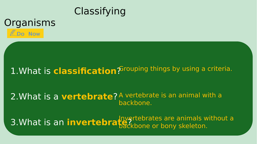 Year 6 - Classification of Living Things | Teaching Resources