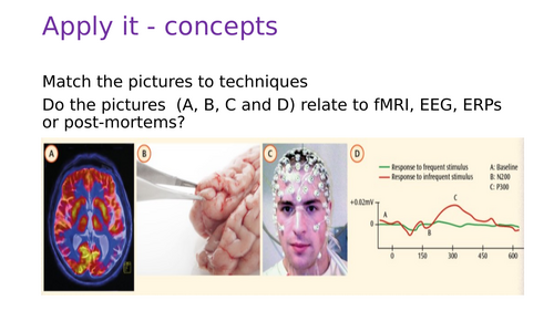 BioPsychology - Ways to investigate the brain (brain scanning ...