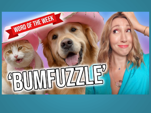 Bumfuzzle Vocabulary Activities and Roald Dahl Word Creation Pack ...