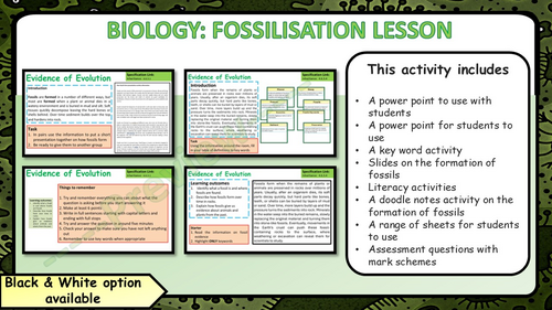 KS4 GCSE Biology / Science Fossil Lesson - Steps to Fossilization ...