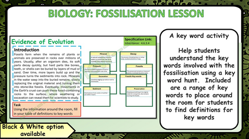 KS4 GCSE Biology / Science Fossil Lesson - Steps to Fossilization ...