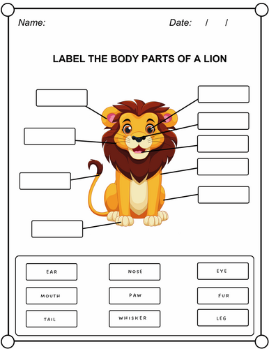 Lion Body Parts Worksheet Pack | Labeling, Coloring & Word Search ...