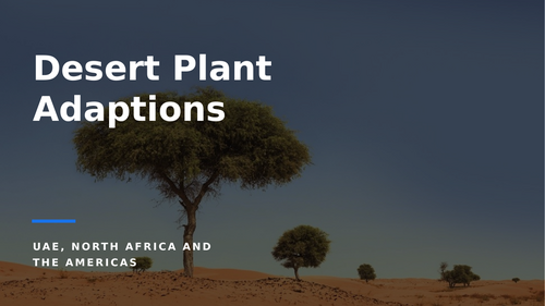 Desert Plant Adaptations – Ghaf Tree, Heliotrope & Barrel Cactus (Grade ...