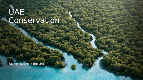 Conservation in the UAE – Protecting Nature and Endangered Species ...