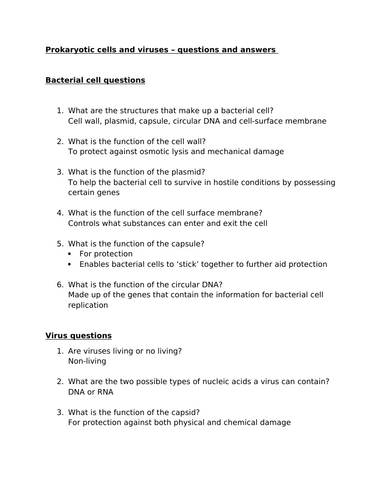 Prokaryotic Cells and Virus Questions | Teaching Resources