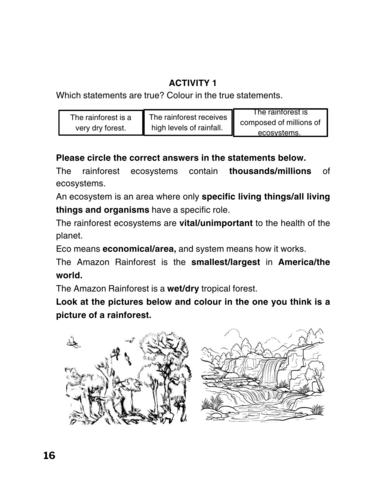 Worksheets from the Rainforest Workbook by Rebecca Soyannwo | Teaching ...