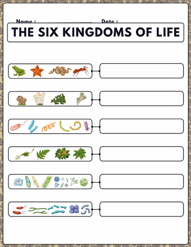 The Six Kingdoms of Life – Labeling Worksheets, Coloring Pages, Word ...