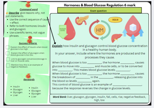 Hormones & Blood Glucose Regulation – GCSE Biology 6 Mark Exam ...