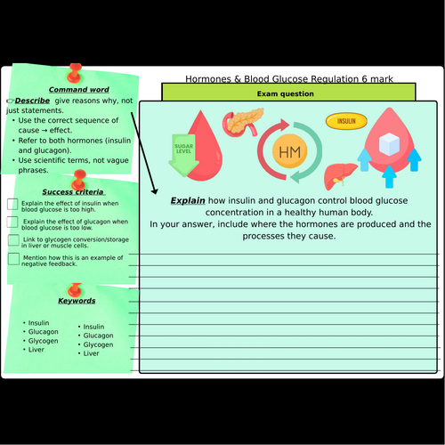 Hormones & Blood Glucose Regulation – GCSE Biology 6 Mark Exam ...