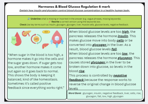 Hormones & Blood Glucose Regulation – GCSE Biology 6 Mark Exam ...