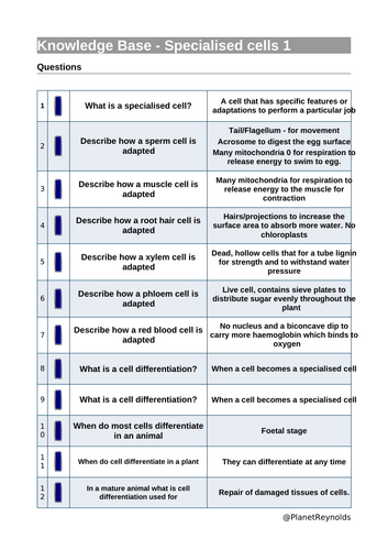 AQA GCSE Biology B1 REVISION (Triple & Combined) | Editable ...