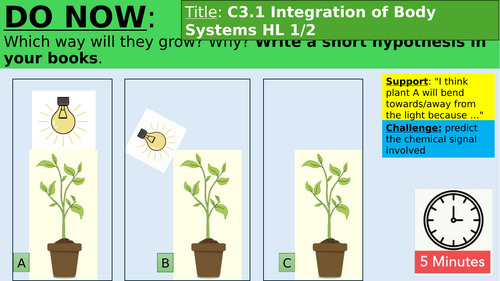 IBDP Biology C3.1 Integration of Body Systems AHL | Teaching Resources