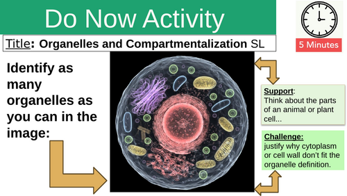 IBDP Biology B2.2 Organelles and Compartmentalization SL | Teaching ...